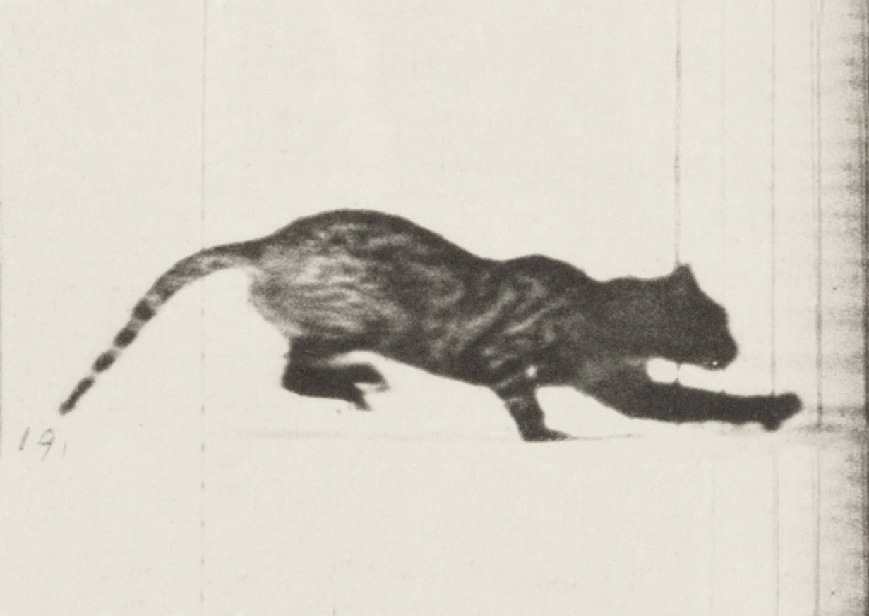 Cassiel Gaube – Hiros