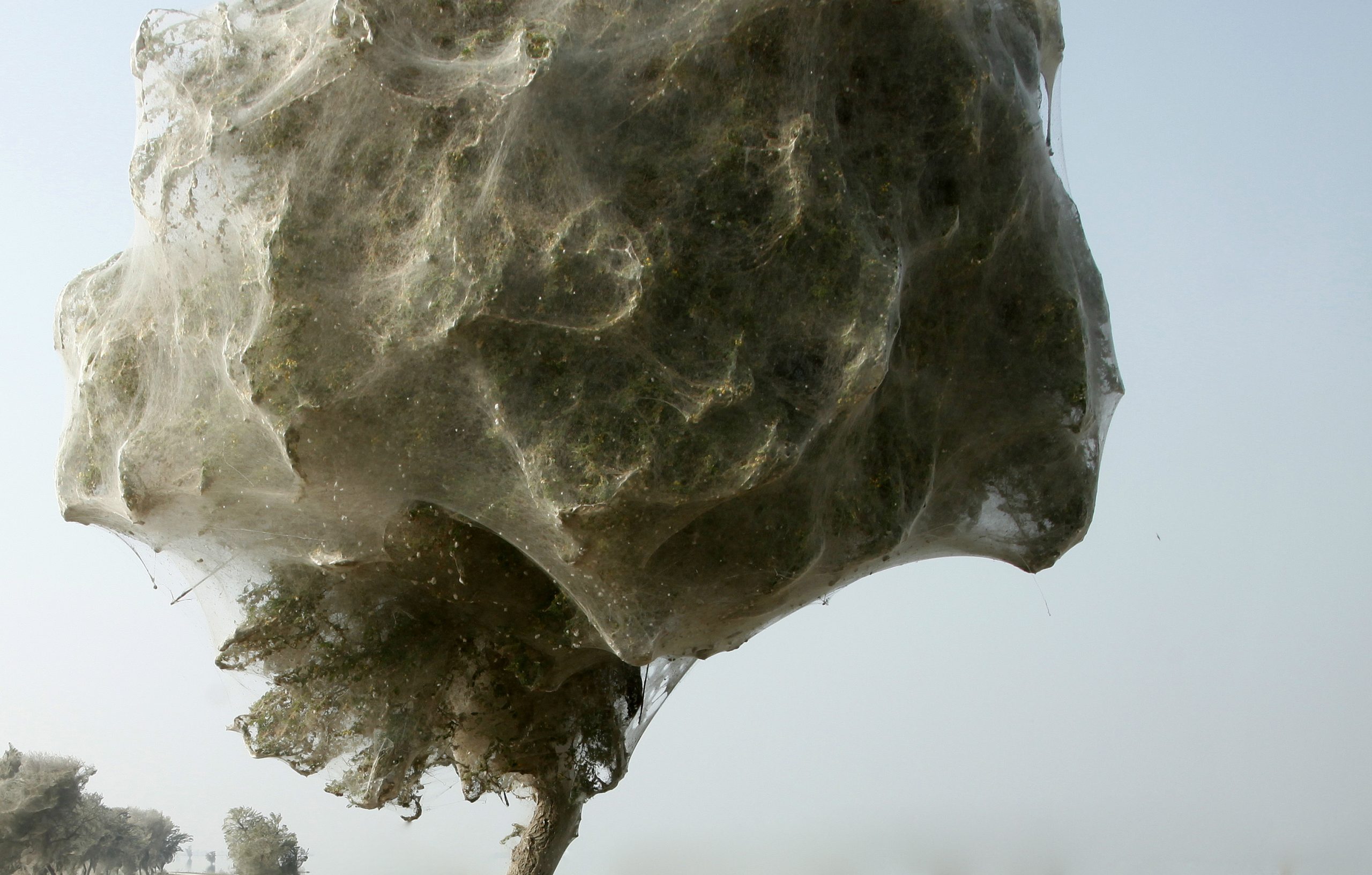 The Artificial Nature Project – Hiros