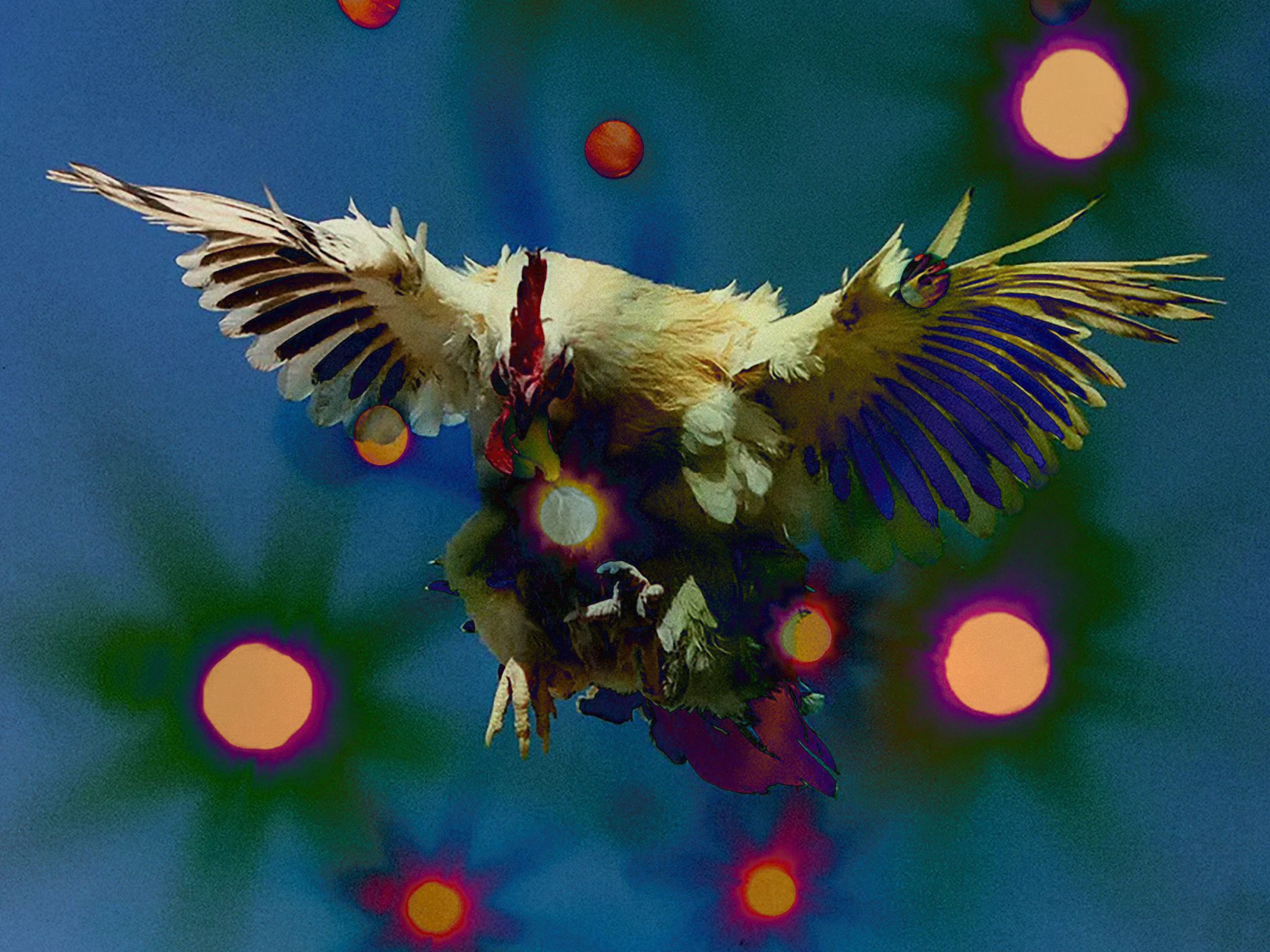 a pulse with no body a sun with no sky – Hiros